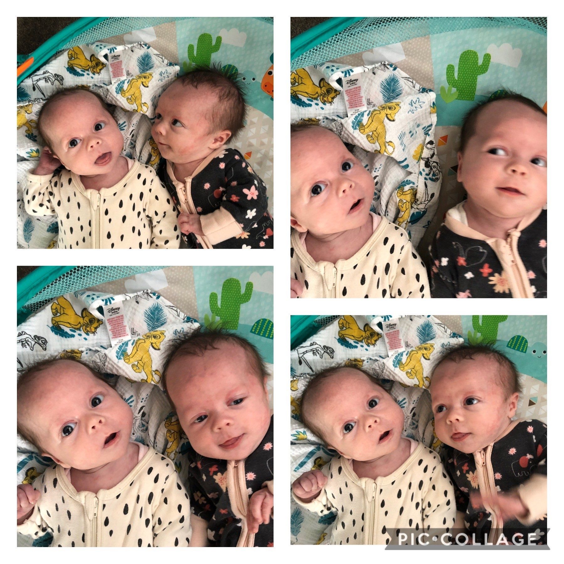 A Place to Call Home - RMHC New Zealand